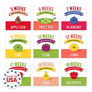Canopy Street Maternity Weekly Milestone Photo Props / 18 Card Set Of 36 Baby Growth Designs / 9" x 9" Modern Pregnancy Keepsake/Adorable Photography As You Grow Signs