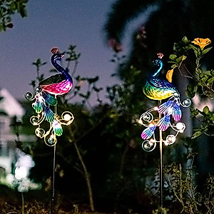 Viveta Pathway Lights Solar Powered, Waterproof Peacock Garden Decor - Metal Peacock Solar Lights for Outdoor Yard Lawn Walkway Driveway, 2Pack