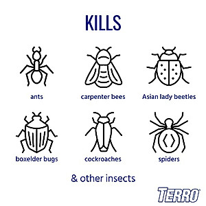 TERRO T1700SR 2 Pack 19 oz Outdoor Ant Killer Spray, White