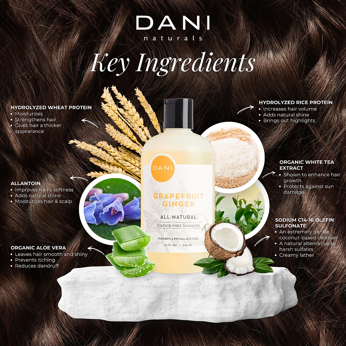 DANI Natural Moisturizing Shampoo Naturals - Invigorating Grapefruit Ginger Scent - Organic Aloe Vera & Coconut Cleansers - Sulfate, Phthalate & Paraben Free - For Men & Women - 12 Ounces
