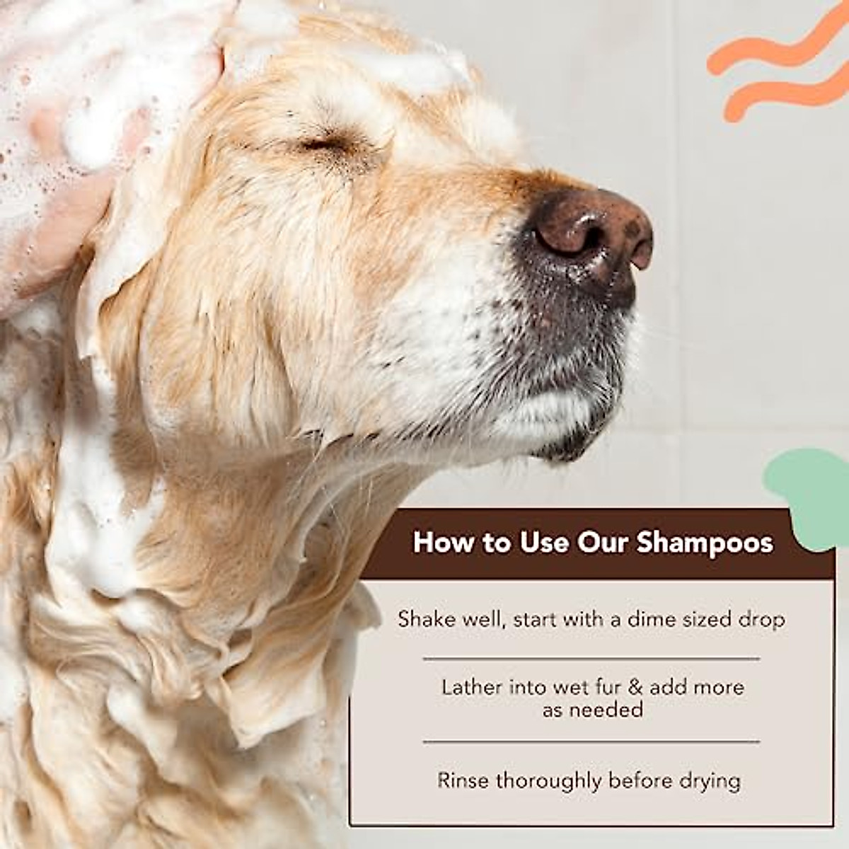 Natural Dog Company Itchy Dog Shampoo, 12 oz., Dog Dry Skin Treatment, Dog Itch Relief, Hypoallergenic, Plant Based Ingredients, Deodorizing Dog Shampoo, Relief from Skin Allergy Symptoms