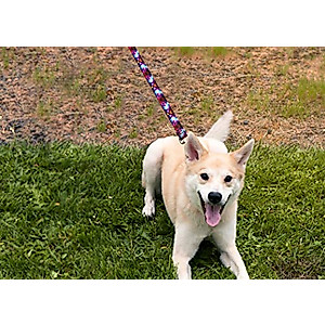 Moose Pet Wear Deluxe Dog Leash - Patterned Heavy Duty Pet Leashes, Made in The USA – 1 Inch x 4 Feet, Dainty Diamond