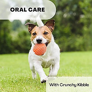 Pedigree Small Dog Food Dry Tender Bites Bundle | Includes 2 Bags of Chicken & Steak Flavor Pedigree Dog Food Dry Tender Bites (3.5 LB) | Plus Paw Food Scoop!