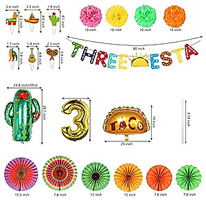 Mexican Third Birthday Party Decoration, Three-Esta Party Fiesta Decorations, 3rd Birth Cinco De Mayo Mexican Themed Taco Party Decorations with Fiesta Paper Fans and Tissue Pom Paper Flowers for Baby