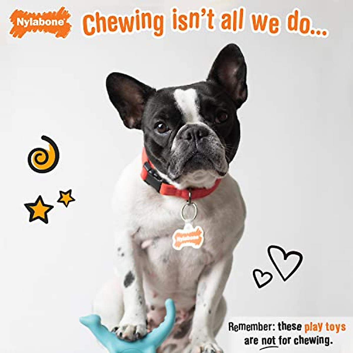 Nylabone Rexii Interactive Dog Toy for Small Dogs – Lightweight Flexible Dog Toy for Creative Play & Dog Exercise