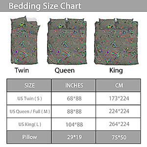 Gearider Grey Trippy Pattern Bedding Set of 3, Ultra Soft Rainbow Colors Duvet Cover Set for Kids Teen with Zipper Closure, Size King