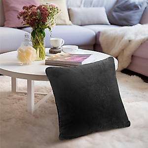 PAVILIA Black Throw Pillow Covers 18x18 Set of 2, Decorative Pillow Cases for Bed Sofa Couch, Boho Aesthetic Accent Decor Cushion for Bedroom Living Room, Velvet Square Euro Sham Covers, Solid Black