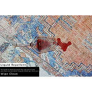 Adiva Rugs Machine Washable and Wipe Clean Area Rug, Living Room Rugs, Bedroom Rug, Water and Dirt Proof Runner Rug, Home Decor (Brown, 2' x 3')