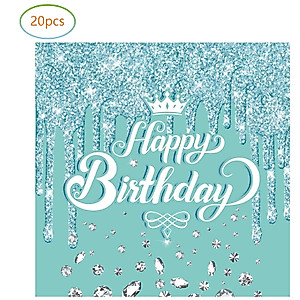 Teal and Silver Birthday Party Supplies, 20 Plates and 20 Napkins, Teal and Silver Theme Birthday Party Decorations for Kid Girls Women Silver Glitter Party Supplies