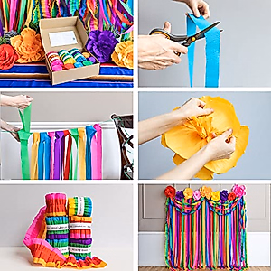 Riles & Bash Fiesta Streamer Backdrop with Crepe Paper Flowers and Ruffled Streamers (Fiesta)