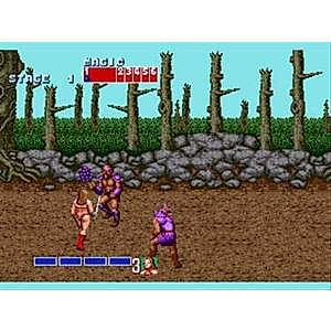 Golden Axe (Sega Genesis / Mega Drive) - Reproduction Video Game Cartridge with Clamshell Case and Manual