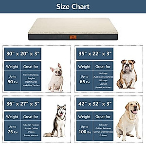 CozyLux Dog Beds for Large Dogs - Large Dog Bed for 65 lbs, Egg-Crate Foam Cat Bed Mat, Removable Washable Cover, Grey 35 X 22 X 3 inch