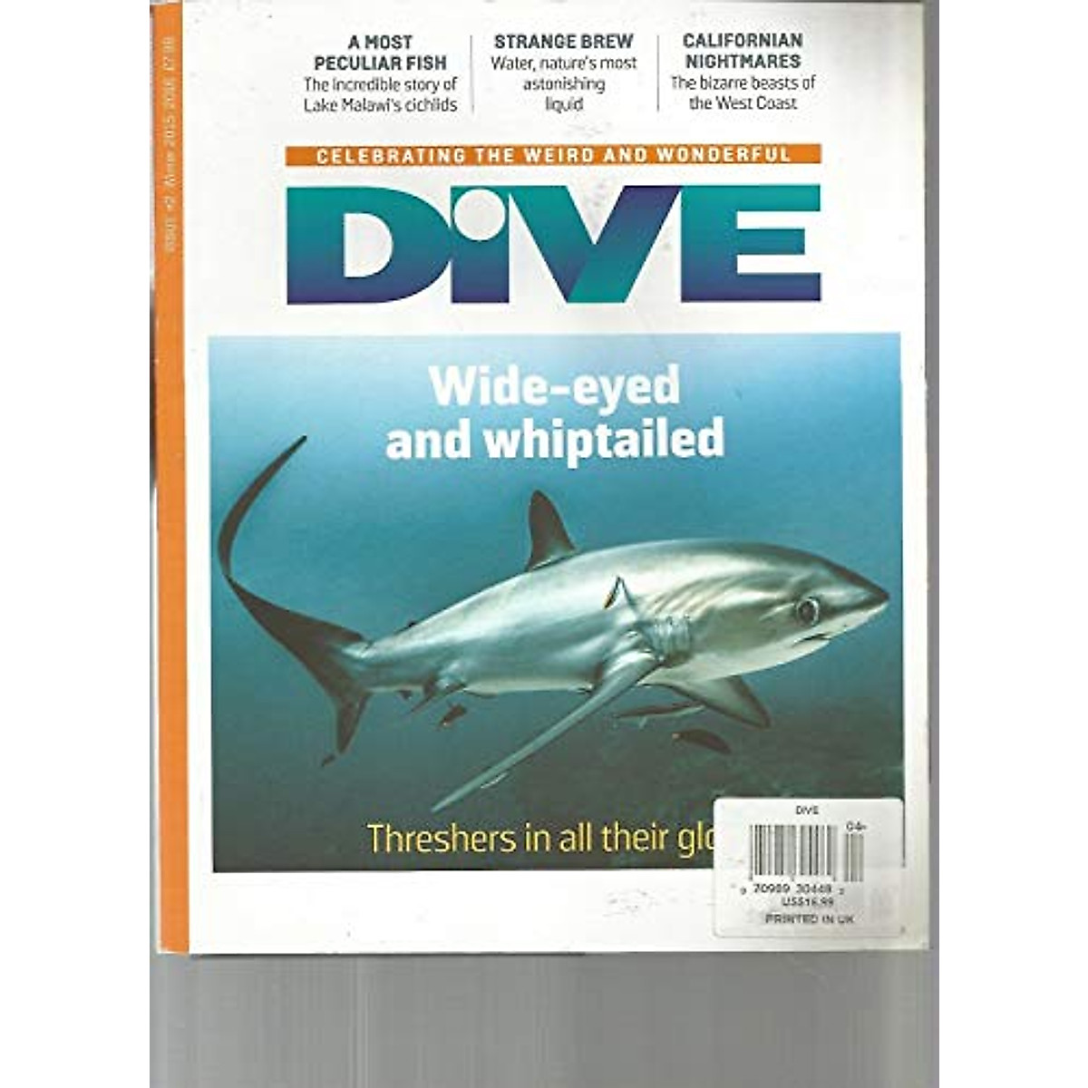 DIVE, CELEBRATING THE WEIRD AND WONDERFUL, WINTER 2015/2016, ISSUE 2 ~