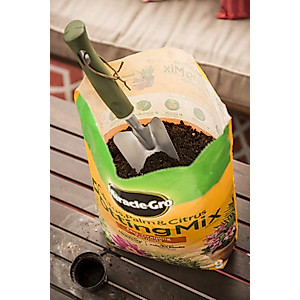 Miracle-Gro Cactus, Palm & Citrus Potting Mix, 8 qt. (3-Pack)