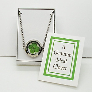 Clovers Online Genuine Preserved Four Leaf Clover Good Luck Charm Floating in a Stainless Steel Bolo Bracelet