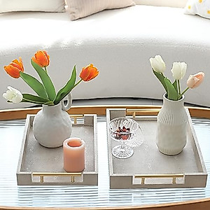 SwallowLiving Set of 2 Wood Serving Tray with Gold Polished Metal Handles Ivory Shagreen Decorative Tray PU Leather with Brushed Gold for Coffee Table Ottoman Console Table