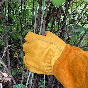 Gardens Leather Gardening Gloves for Women and Men | Thorn and Cut Proof Garden Work Gloves with Long Heavy Duty Gauntlet | Suitable For Thorny Bushes Cacti Rose (Large, Yellow)