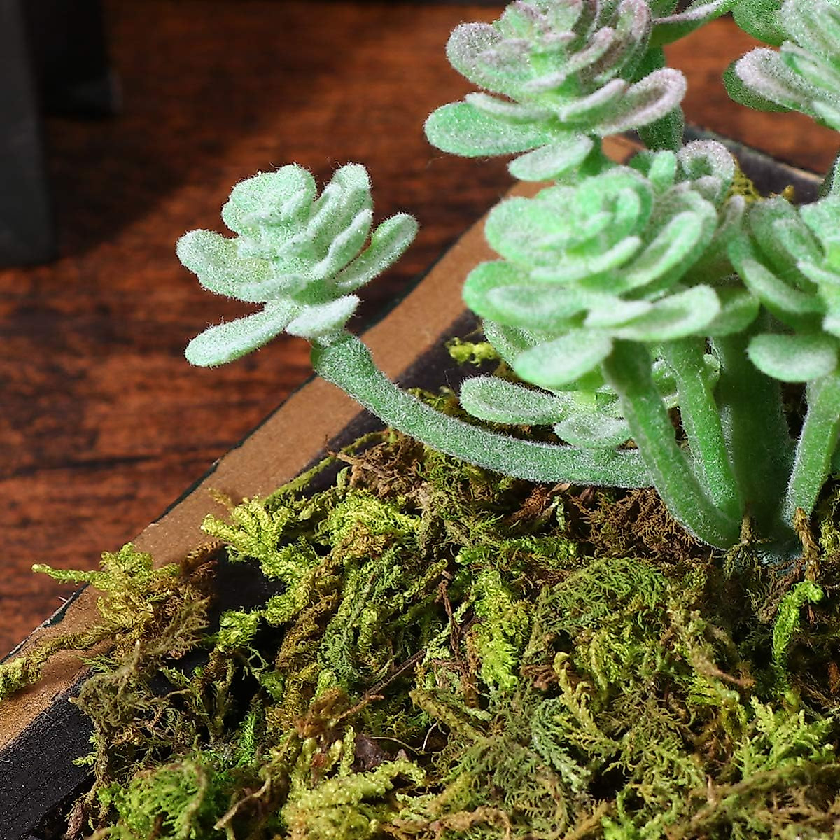 BESPORTBLE 60g Lifelike Artificial Moss Plants Fake Green Lichen Fake Lichen Green Plants for Home Garden Patio Decoration