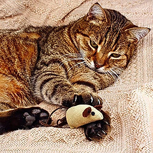 Purina Pro Plan Cat Food Canned Wet Entree 3 Flavor 6 Can Sampler Bundle, (2) Each: Chicken Tomato Pasta Gravy, Sole Vegetable, and Tuna Entree Sauce (3 Ounces) Plus Catnip Mouse