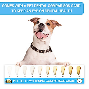 VVHOMIFE Small Dog Toothbrush Kit,Puppy Tooth Brushing Kit, Suitable for All Puppy and Samll Dogs Dental Care. White, Soft Bristles, Meet All Cleaning Needs, Multi-Functional Dental Cleaning.