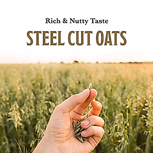 McCann's Irish Oatmeal, Traditional Steel Cut Oats, 28 Ounce