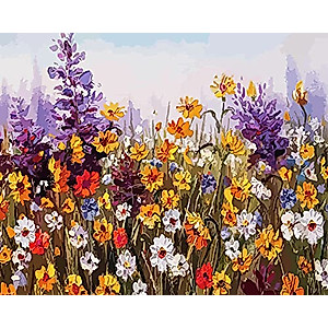 TUMOVO Paint by Number for Adult, Painting by Number Kits On Canvas, DIY Color Flowers Oil Painting Acrylic Paints, Flameless Paint by Numbers for Adults and Kids Beginner 16X20 Inch