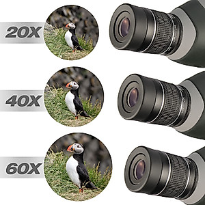 LANDOVE 20-60X80 Spotting Scopes, Dual Focus BAK4 HD Optics Spotting Scope with Carrying Bag and Large Phone Adapter for Hunting, Target Shooting, Archery, Bird Watching Bonus a Table Tripod
