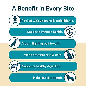 Benefit Biscuits, All Natural Dog Treats, Certified Vegan, Non GMO, Wheat Free, Healthy Dog Biscuits, Made in USA (Blueberry, Regular Bag (7oz))