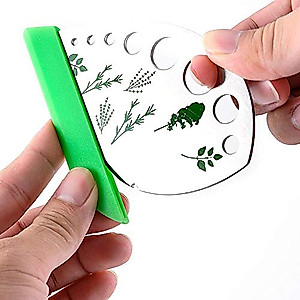 BENEKIY Scissors Herb Stripper Tools Kits 5-Blades Stainless Steel Scissors with Kitchen Herb Stripping Tool, Safe Cover, Cleaning Comb Multipurpose Kitchen Chopping Shear, Mincer