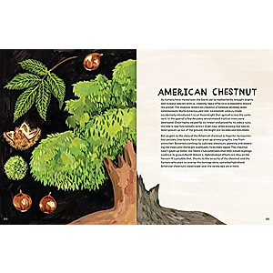 Trees: An Illustrated Celebration