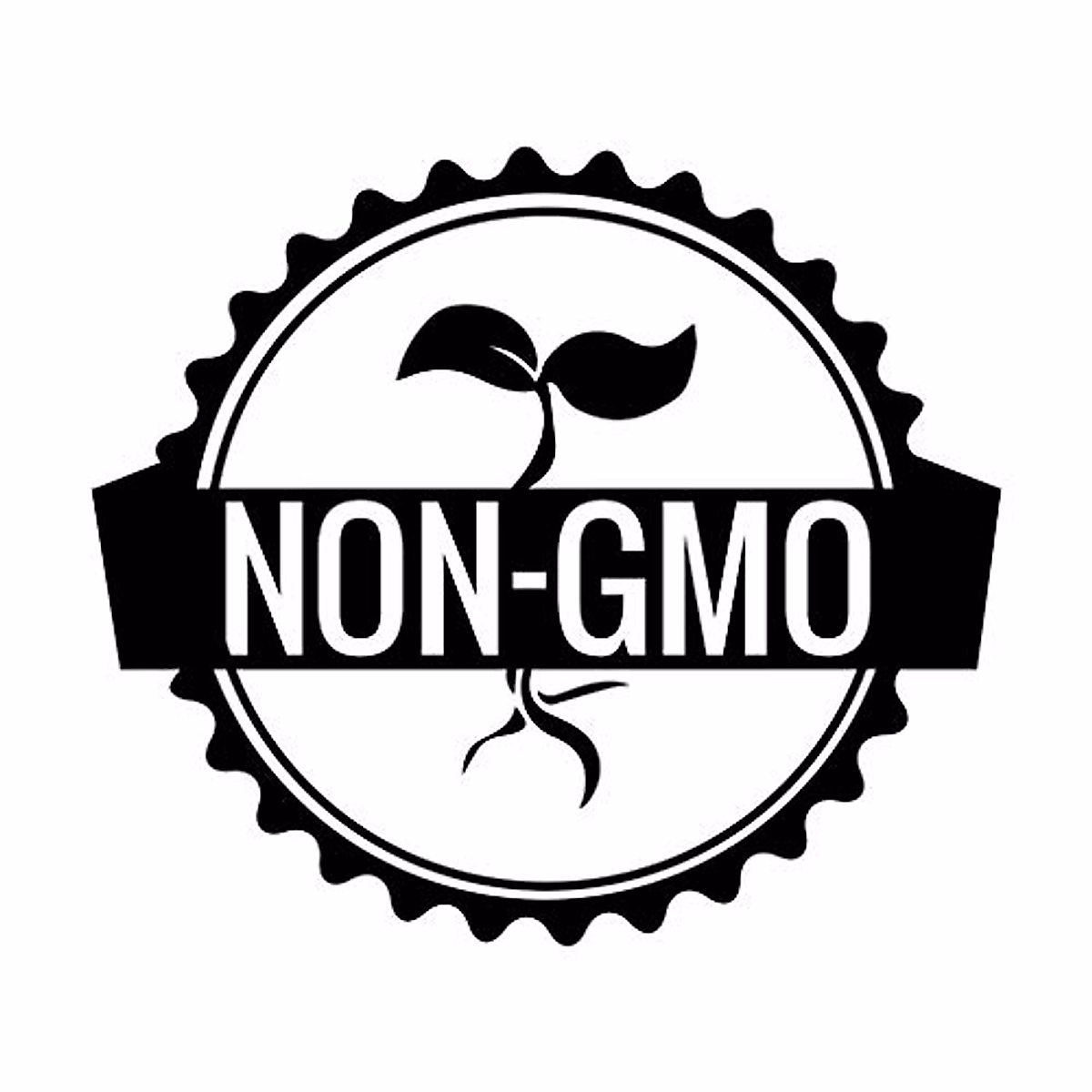 Gaea's Blessing Seeds - Amaranth Seeds - Red Garnet - Non-GMO Seeds with Easy to Follow Planting Instructions - Open-Pollinated - Untreated - Heirloom - 92% Germination - Net Wt. 1.3g