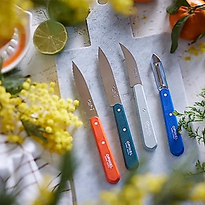 Opinel Les Essentials Small Kitchen 4 Piece Knife Set - Paring Knife, Serrated Knife, Peeler, Vegetable Knife, Corrosion Resistant High Carbon Steel, Made in France (Primavera)