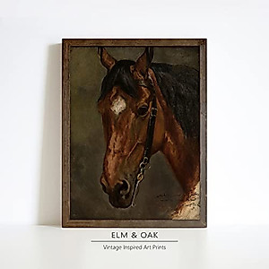 Equestrian Wall Decor - Horse Art Print for Home Decor - Antique Horse Riding Wall Artwork Decoration Farmhouse Country Wall Art for Home Decor - 11x14 inches, Ready to Frame (Stallion Portrait)