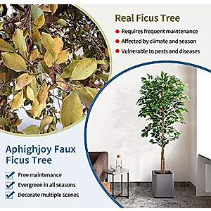 Aphighjoy Faux Plants Artificial Ficus Trees Eucalyptus Trees with Silk Leaves Fake Moss and Sturdy Nursery Pot, Fake Plants for Office Home Decor (5Ft - 1Pack, Upgraded Ficus Tree)