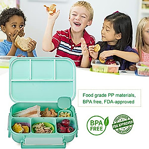 ZPIMY Bento Box Adult Lunch Box, Lunch Box Kids, Bento Box Kids, 1300ML Lunch Box Adult with 4 Compartment, Lunch Box Containers for Adults/Kids/Toddler, Microwave/Dishwasher/Freezer Safe (Green)