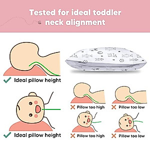 KeaBabies Toddler Pillow with Pillowcase, Jumbo 14X20 - Soft Organic Cotton Toddler Pillows for Sleeping - Machine Washable - Perfect for Travel, Toddler Bed Set (KeaFriends)