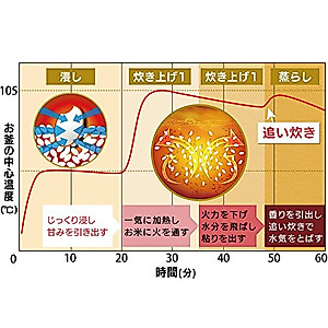 Iris Ohyama rice cooker pressure IH formula 5.5 Go brand cook divided function with rice shop taste RC-PA50-B