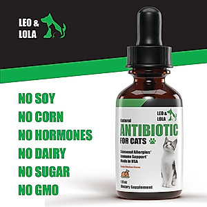 Leo & Lola Natural Cat Antibiotic : Antibiotics for Cats : Cat Antibiotics : Antibiotic for Cats : Cat Antibiotics for UTI : Cat UTI : Cat UTI Treatment : Cat UTI Antibiotics : 1 fl oz