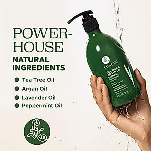 Luseta Tea Tree Shampoo with Argan Oil 16.9 Fl oz- Clarifying,Hydrating and Fighting Dandruff and Itchy Scalp - For Damaged and Oil Hair - Sulfate and Paraben Free for Men and Women