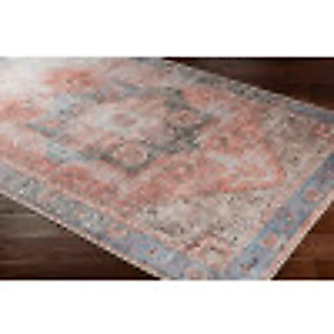 Livabliss Suri Vintage Washable Area Rug 5'3" x 7'3", Rust/Blue