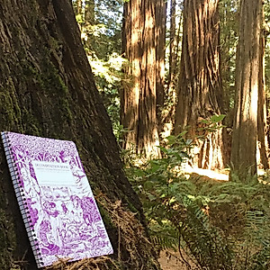 Decomposition Fairy Tale Forest College Ruled Spiral Notebook - 9.75 x 7.5 Journal with 160 Lined Pages - 100% Recycled Paper - Cute Notebooks for School Supplies, Home & Office - Made in USA