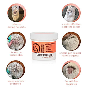 COAT DEFENSE Trouble Spot Drying Paste - Made in USA - 5 Oz Dog & Cat Skin Care, Itchy Skin & Allergies, Alleviates Hot Spots for Dogs & Cats, Insect Bites Relief & Dog Wound Care