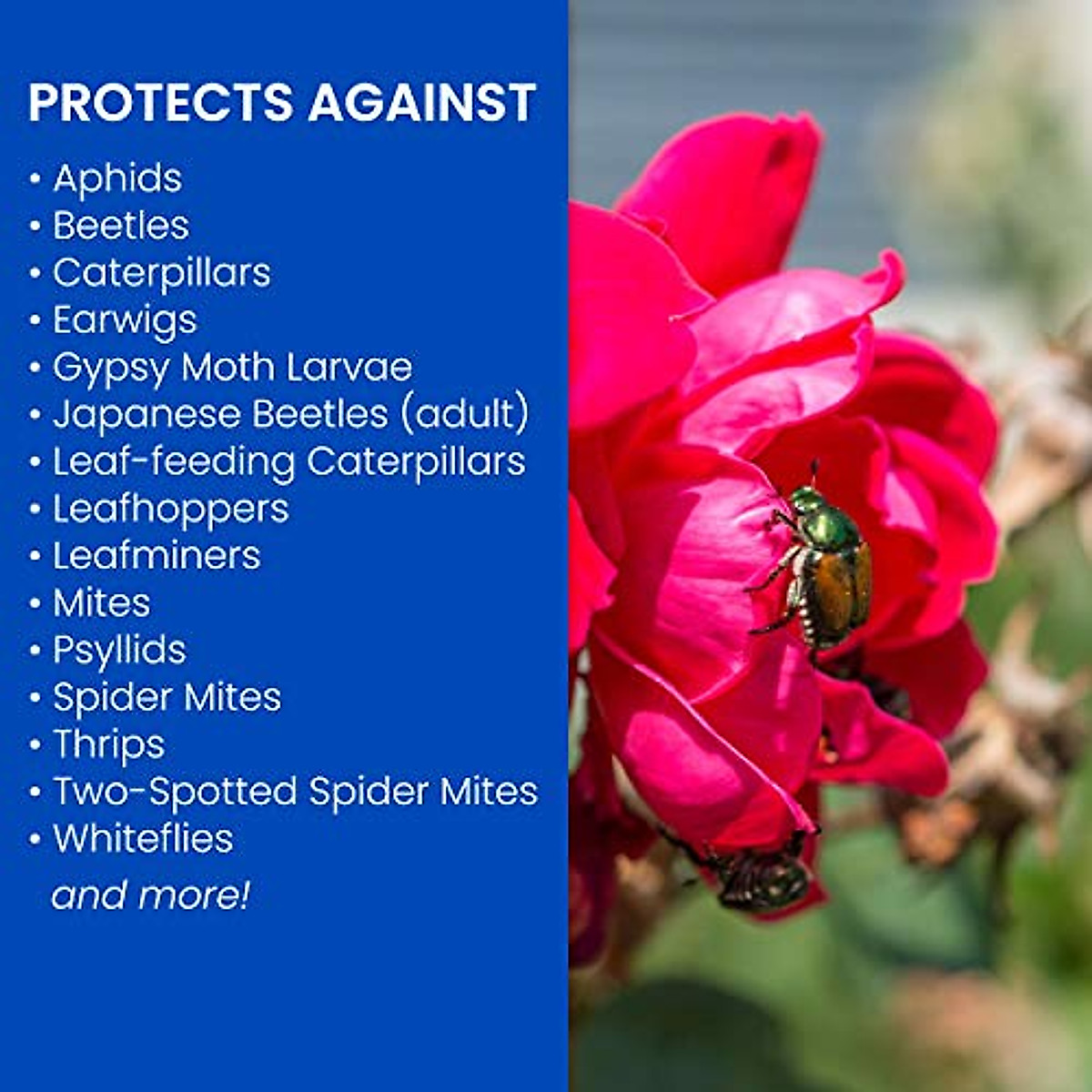 BioAdvanced 3-in-1 Insect Disease and Mite Control I, Ready-to-Spray, 32 oz