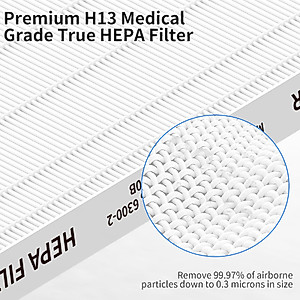 VALZONE 115115 HEPA Replacement Filter A Size 21 Compatible with Winix PlasmaWave Air Purifier C535 5300-2 6300-2,1 Washable Pre-Filter, 2 HEPA and 4 Carbon Filters