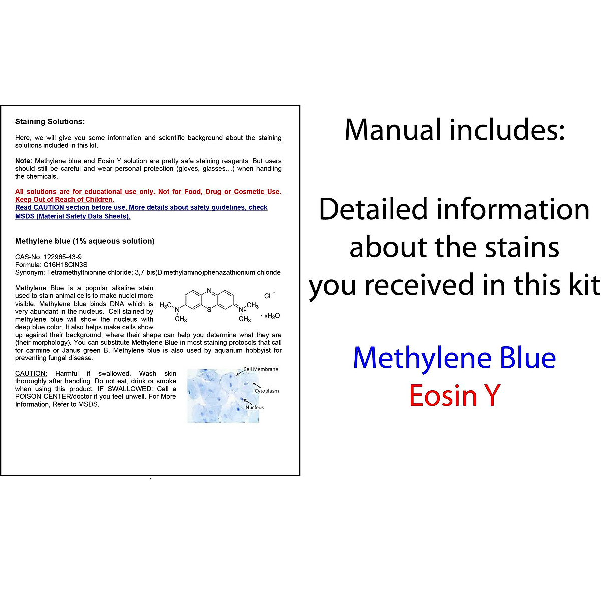 30 ML (1 oz) Methylene Blue and Eosin Y Solutions in Amber Glass Dropper Bottles (for Microscopy)