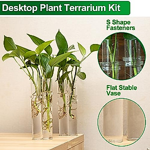 SPORTYOUTH 6Pcs Wall Hanging Glass Planter Terrariums Plant Propagation Stations Desktop Tubes, Large Cylinder Bud Vase Container for Hydroponics Plants Air Plants, Home Office Decor Kit