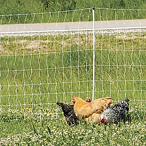 Premier 48" PoultryNet® Electric Fence 12/48/3, 164', Double Spike, White