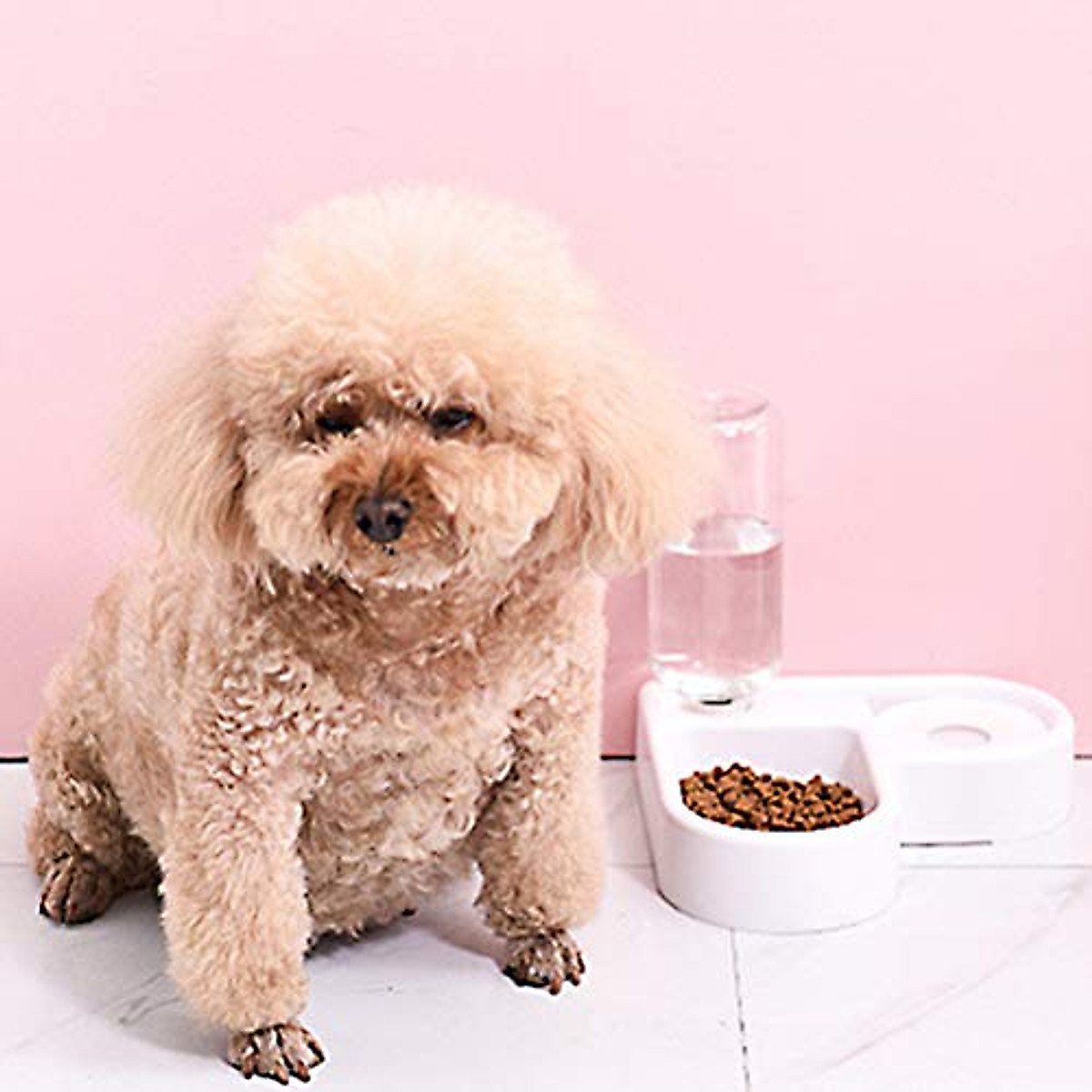 Creative Corner Shape Pet Feeder Bowl Plastic Double Bowls with 500ml Automatic Water Dispenser Bottle Anti- Slid Feeder Household Pet Supplies ( White )