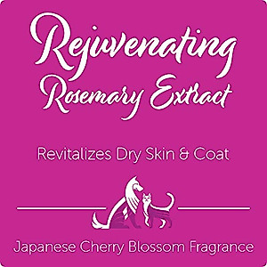 Nootie - Pet Shampoo for Sensitive Skin - Revitalizes Dry Skin & Coat - Natural Ingredients - Soap, Paraben & Sulfate Free - Cleans & Conditions