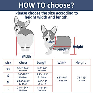 Small Dog Wheelchair for Back Legs, Adjustable Dog Wheelchairs - Mobility Aids for Disabled Pets, Dog Leg Brace and Hip Support